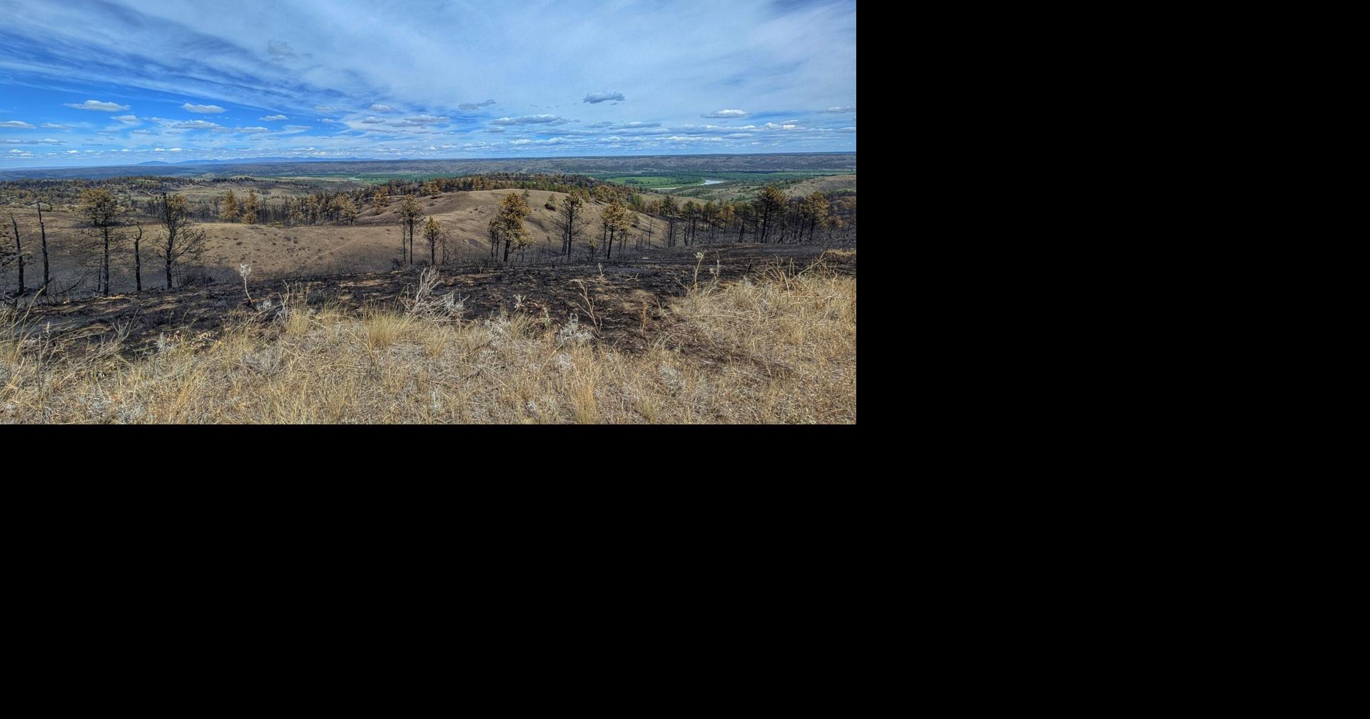 Wilder Fire 100% contained | News | lewistownnews.com