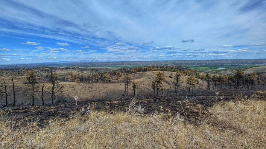 Wilder Fire in northeastern Fergus County over 50% contained | News ...