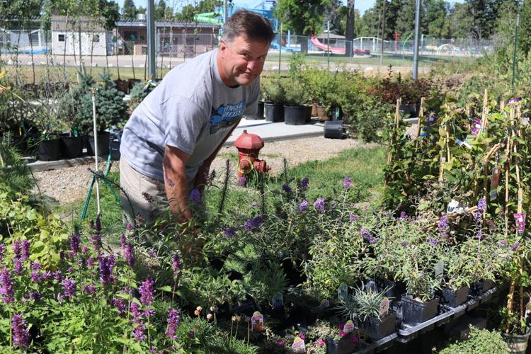 Fall is coming: Gardeners have work to do with first frost about 3 ...