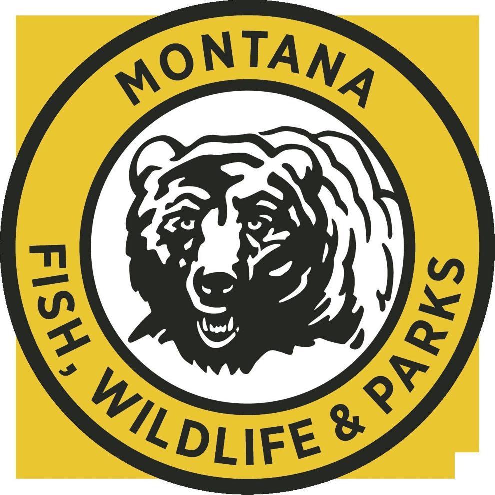 Drawing results available for elk B, deer B, antelope 900, sandhill ...