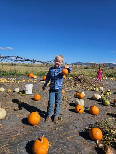 'Gourd times' roll at Farm in the Dell fall festival | News ...