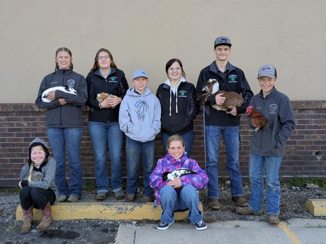 Greetings from goats | Community | lewistownnews.com