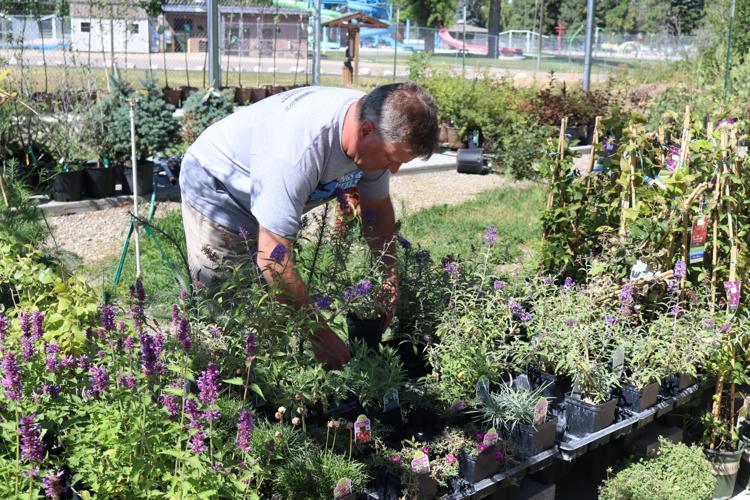 Fall is coming: Gardeners have work to do with first frost about 3 ...