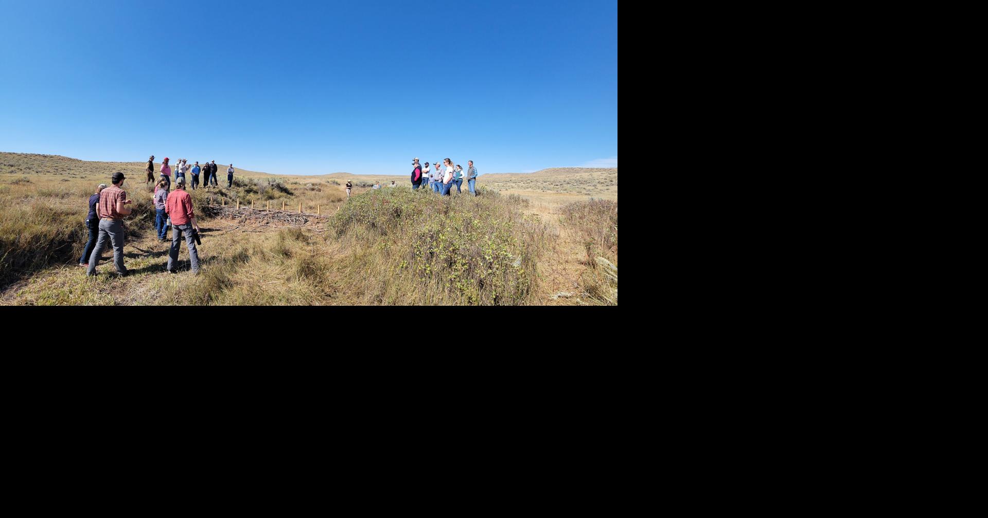 Free prairie stream restoration workshop and field day May 6 in ...