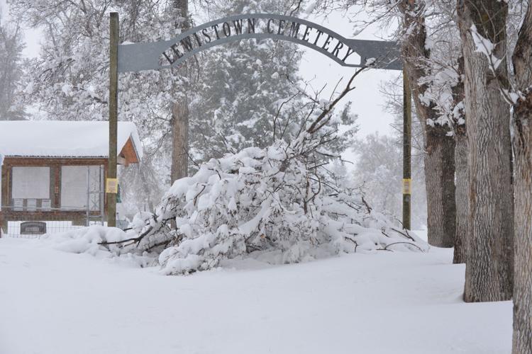 Scenes from a snow day | News | lewistownnews.com