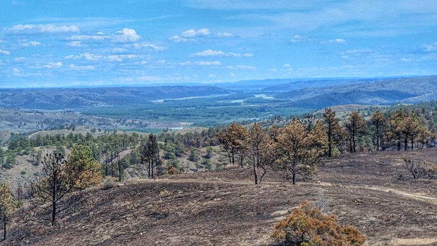 Wilder Fire in northeastern Fergus County over 50% contained | News ...
