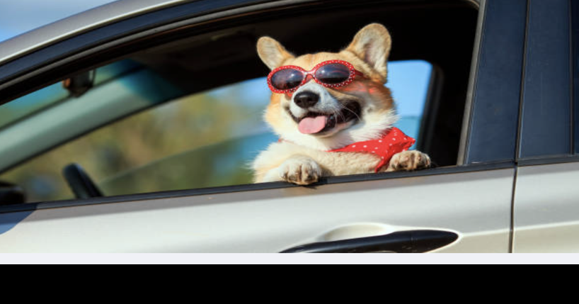 Gas-Saving Tips For Your Memorial Day Weekend Road Trip