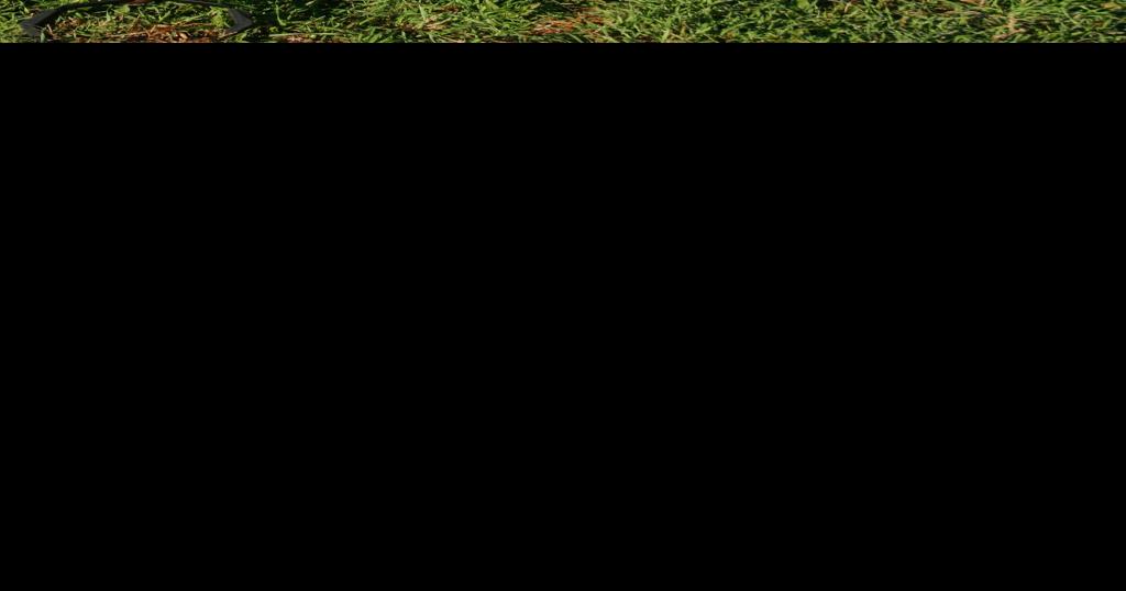 Deer season in Dawson County