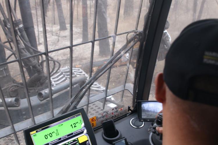 Work underway at Nebraska National Forest at Halsey to clear 850 acres ...
