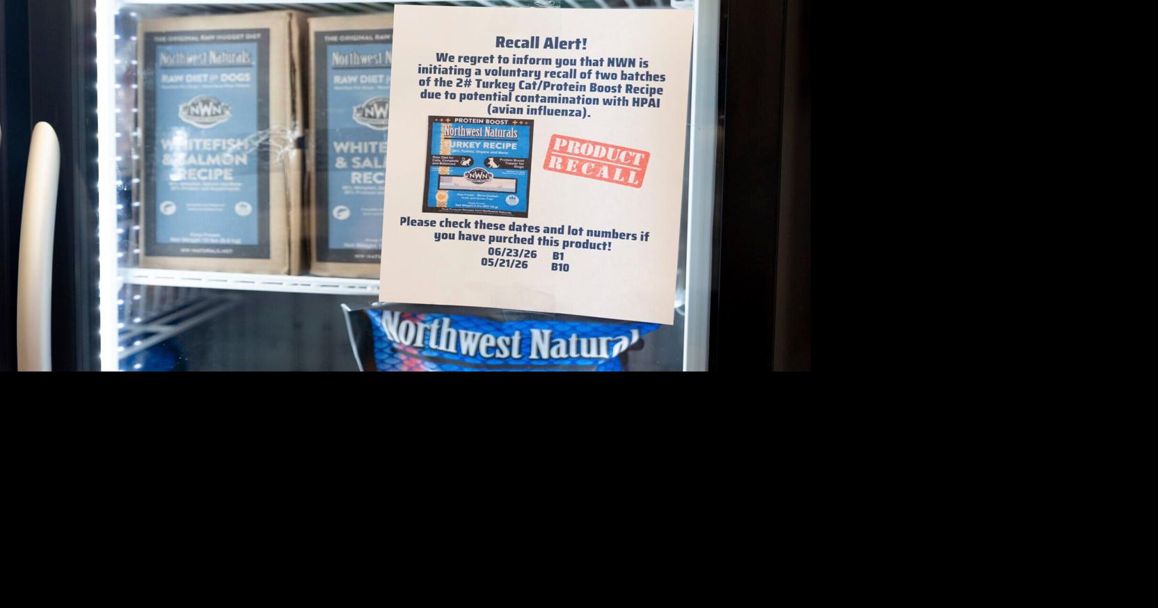 How to protect cats from bird flu