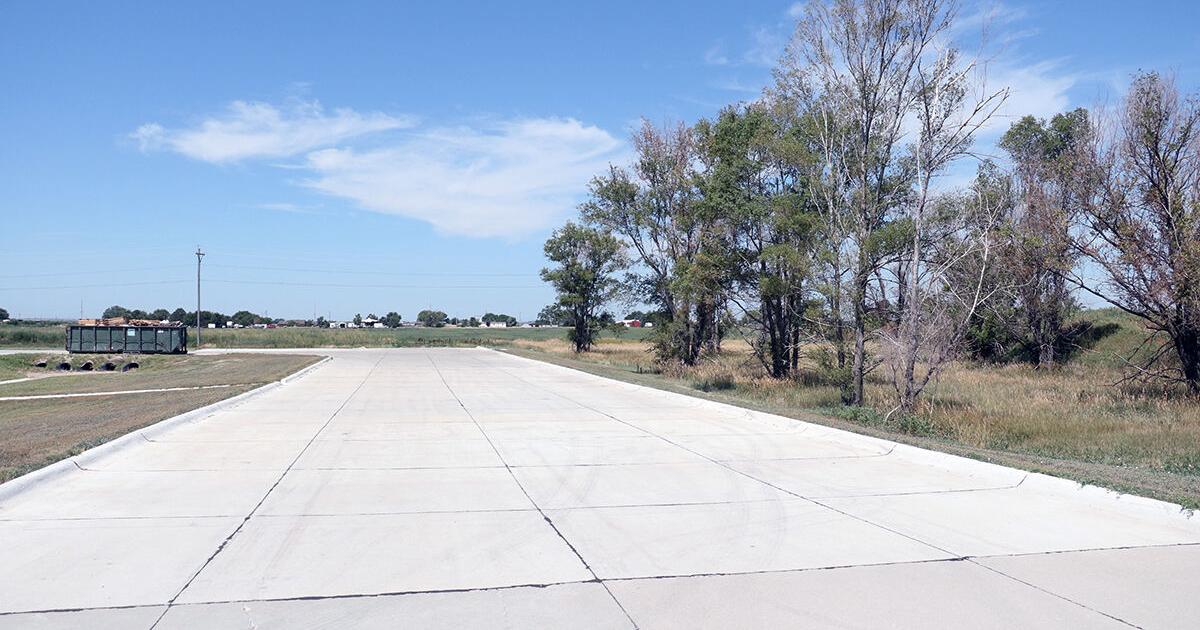 Representatives from R. Perry Construction speak to CDA about apartment ...