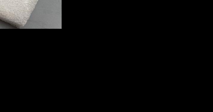 Scientists study how cockroaches spread around the world