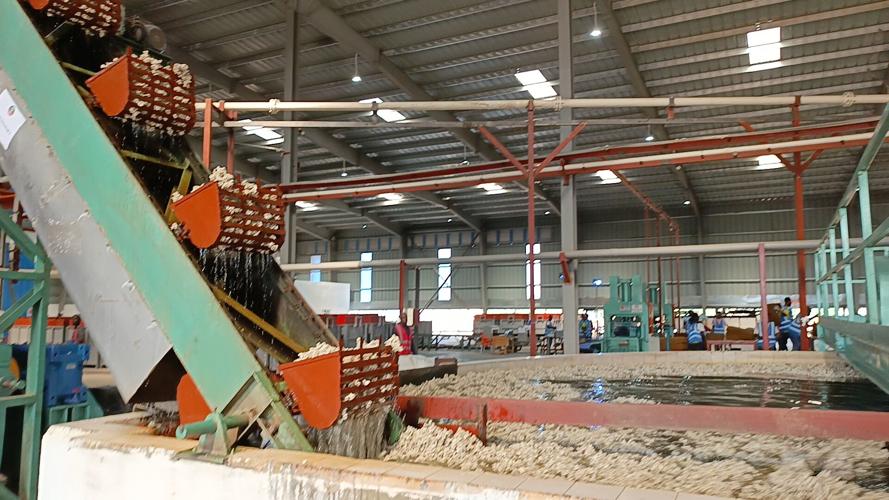 Natural Rubber Hits the Road to Local Value Addition | Business | liberianobserver.com