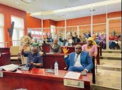 Senate Committed to Full Implementation of LGA | News ...