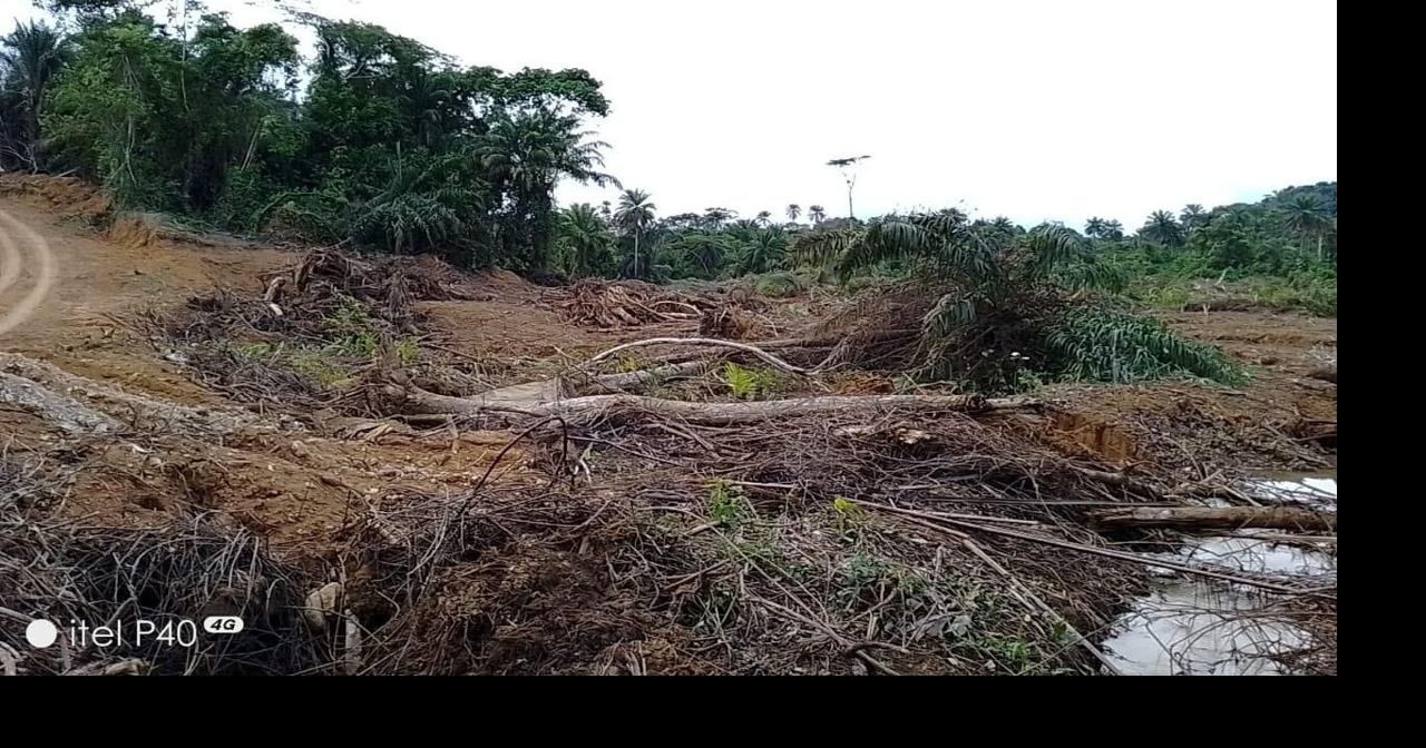 Illicit Mining Continues in Gbarpolu County Under Armed Protection ...