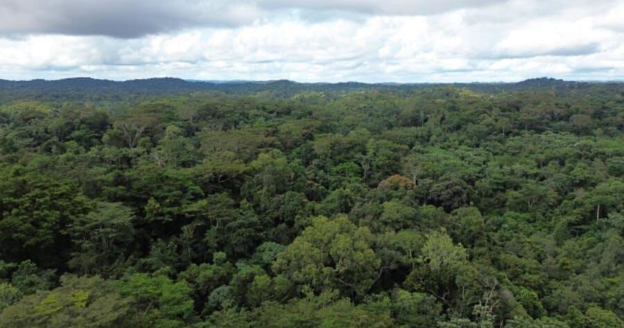 Removed Sapo Occupants Praise Security Forces | News | liberianobserver.com