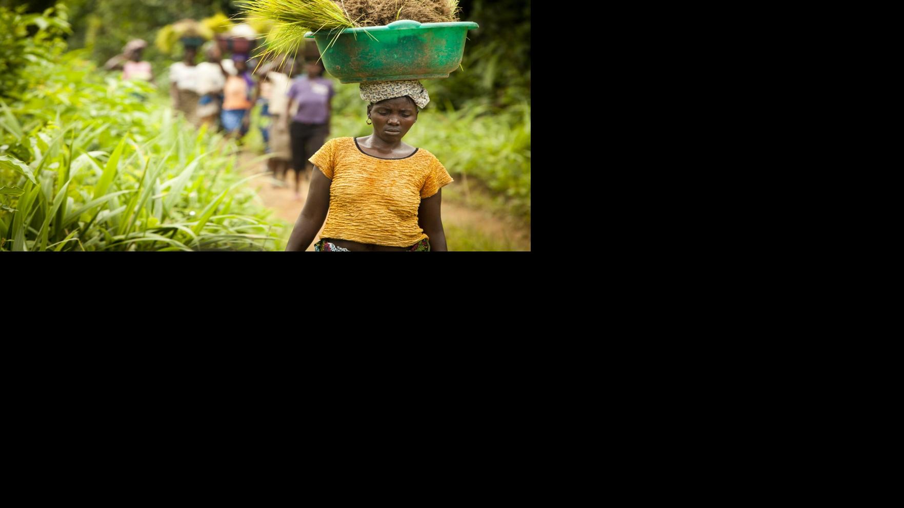 liberianobserver.com