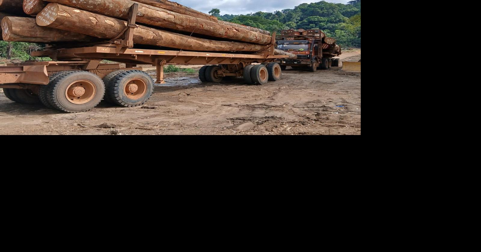 Protest Over Dirty Logging Contract | News | liberianobserver.com