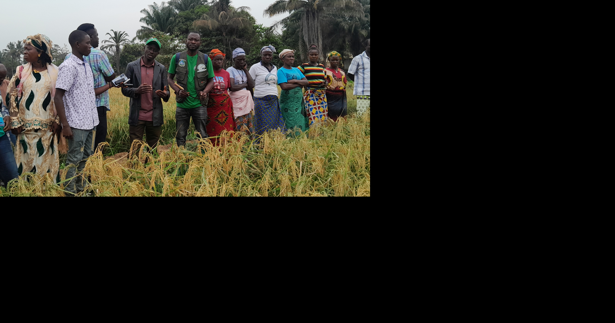 MoA Launches Lowland Rice Harvest in Bong | Farming | liberianobserver.com