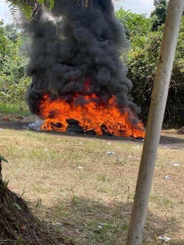 LDEA Destroys Illicit Drugs Worth Over L$60M | News | liberianobserver.com