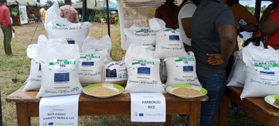 Addressing Liberia’s Rice Quagmire | Farming | liberianobserver.com