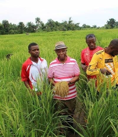 Boakai Launches 2024 Agriculture Fair Tomorrow | Farming ...