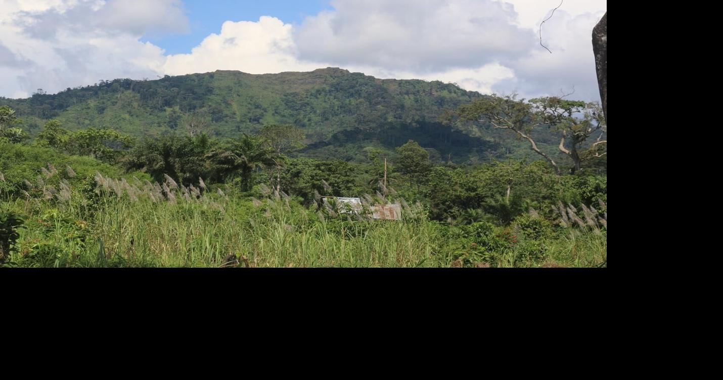 Communities Desire Direct Benefits to Conserve Forests | News ...