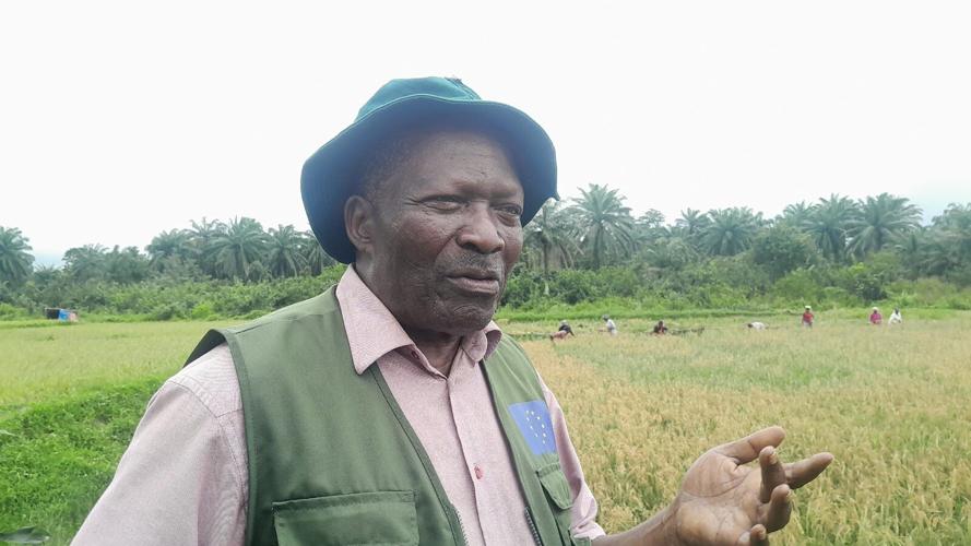 "We want Farmers Produce What They Eat" | Farming | liberianobserver.com
