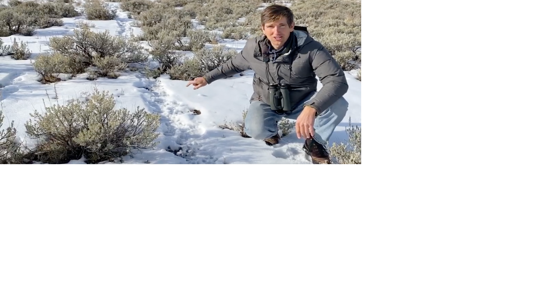 Tuning in to the natural world with George Bumann | Local ...