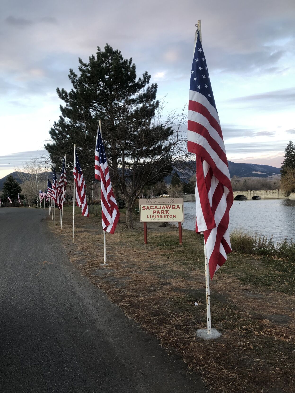 Legion observes Veterans Day with 150 flags | News ...