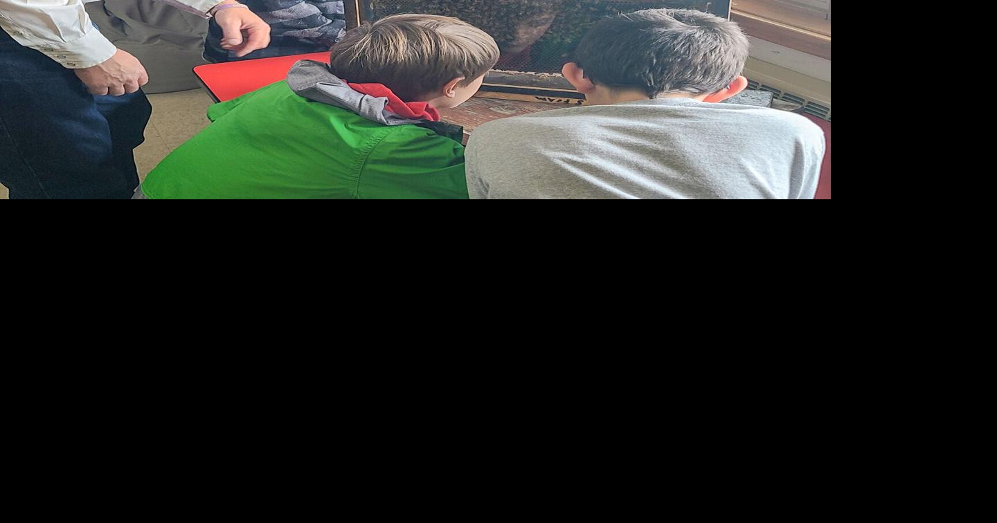 Buzzing with Knowledge: Bee-curious 3rd graders learn from local ...