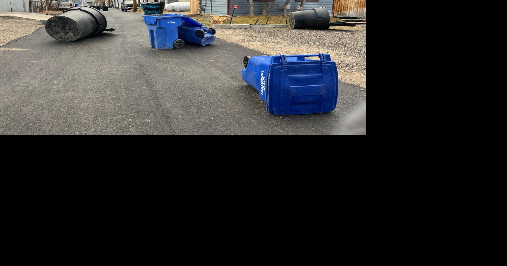 Wind knocks out power in city | Local | livingstonenterprise.com