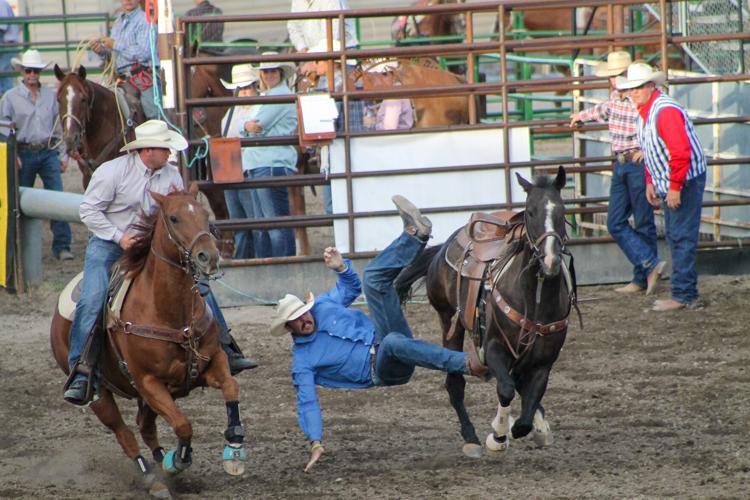 Riding high with Calamity's hometown rodeo | Sport ...
