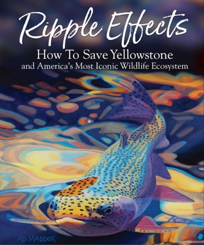 Author discusses ‘Ripple Effects: How to Save Yellowstone and America’s ...