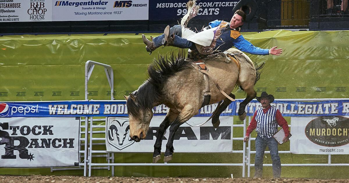 Tickets on sale for Spring Rodeo at MSU | Montana ...
