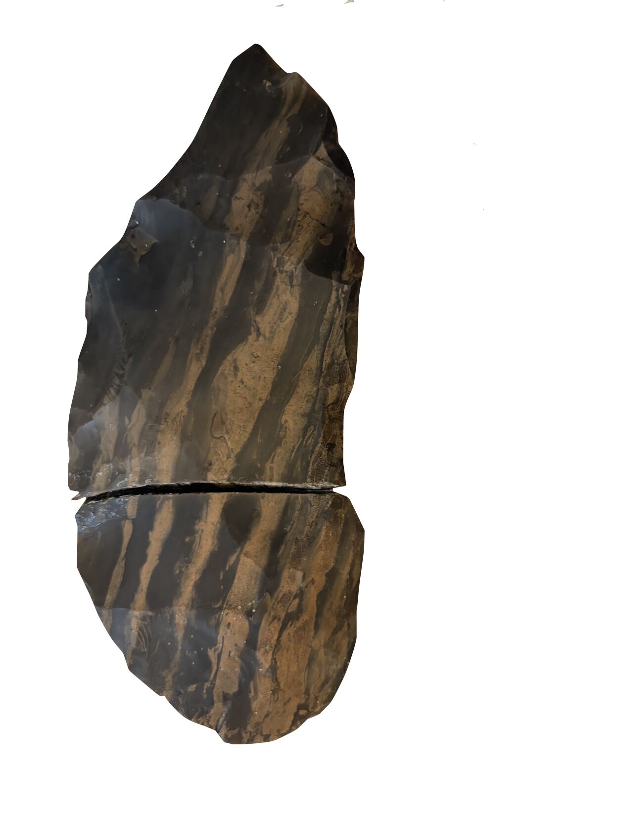 Local donates Clovis artifact following Shane seminar | Archaeology ...