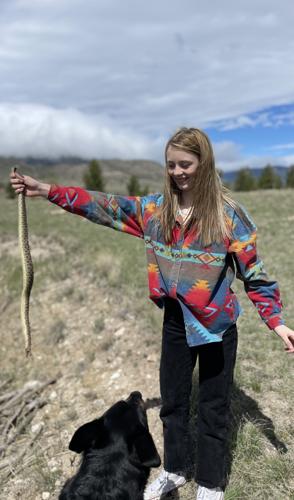 Dead rattlesnake | Local | livingstonenterprise.com