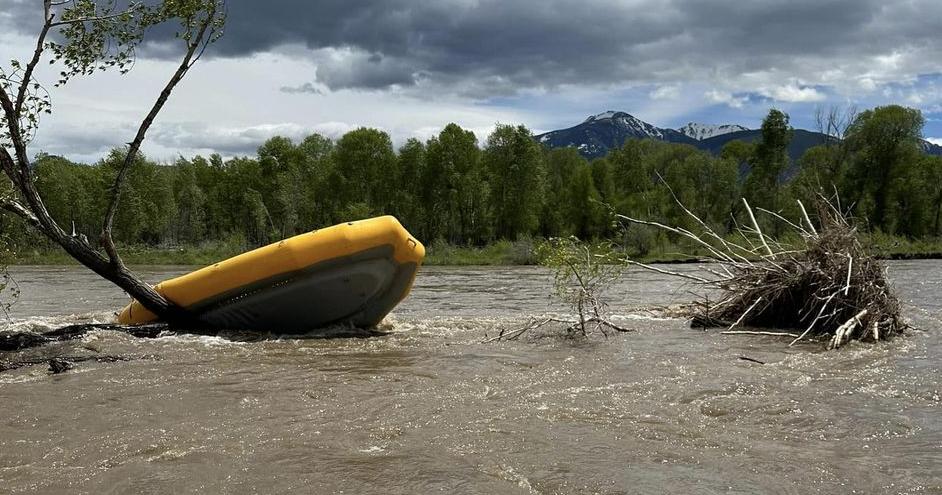 Rescue on the river: Floaters got entangled on a tree in the ...