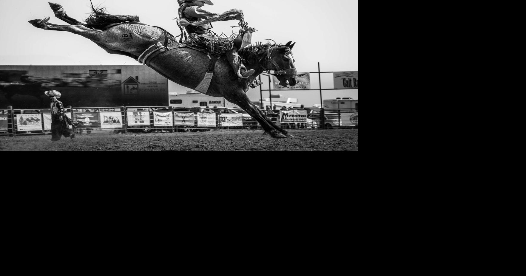 Rodeo art exhibit on display at the LCAC | Local | livingstonenterprise.com