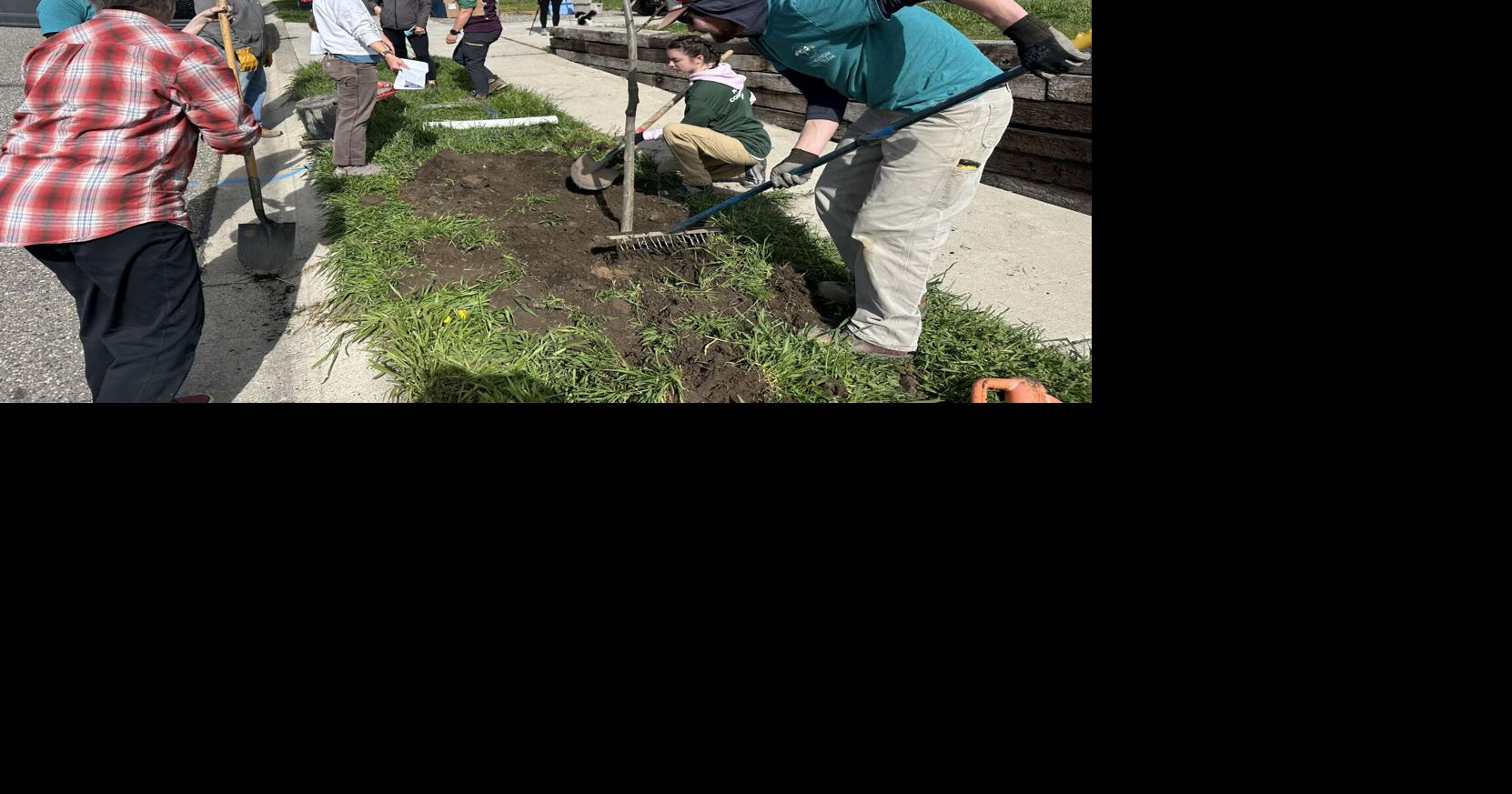 Tree huggers unite: Volunteers plant over 100 trees in town | Local ...