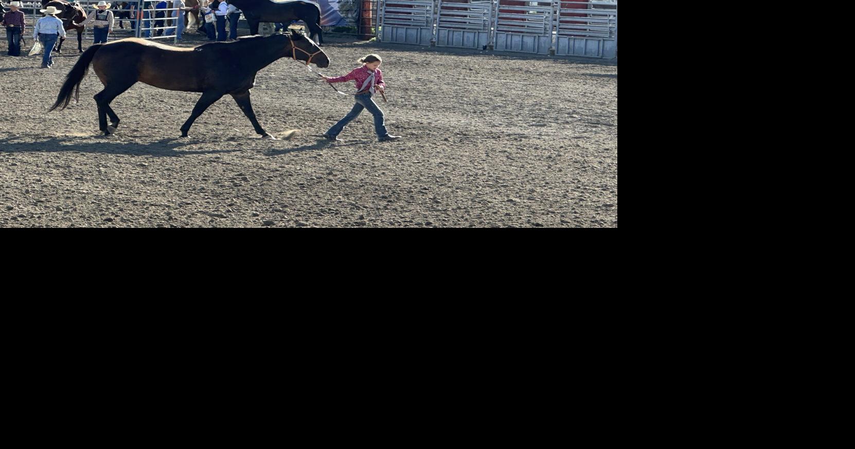 Animal farm takes over Ag Fair | Local | livingstonenterprise.com