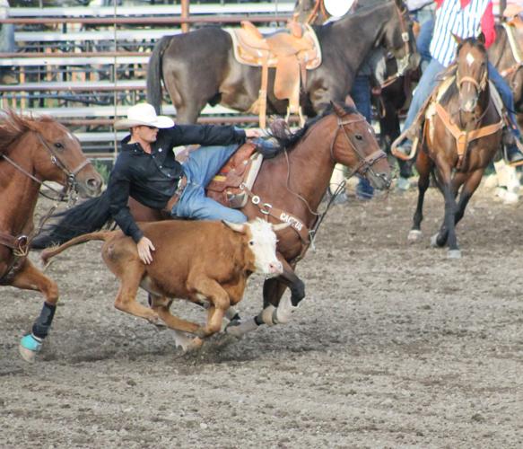 Riding high with Calamity's hometown rodeo | Sport ...