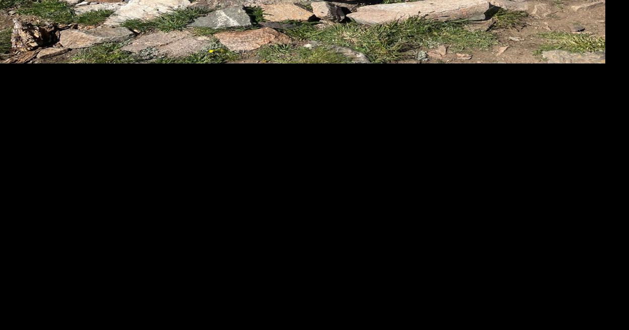 Reaching the summit of Livingston | Local | livingstonenterprise.com