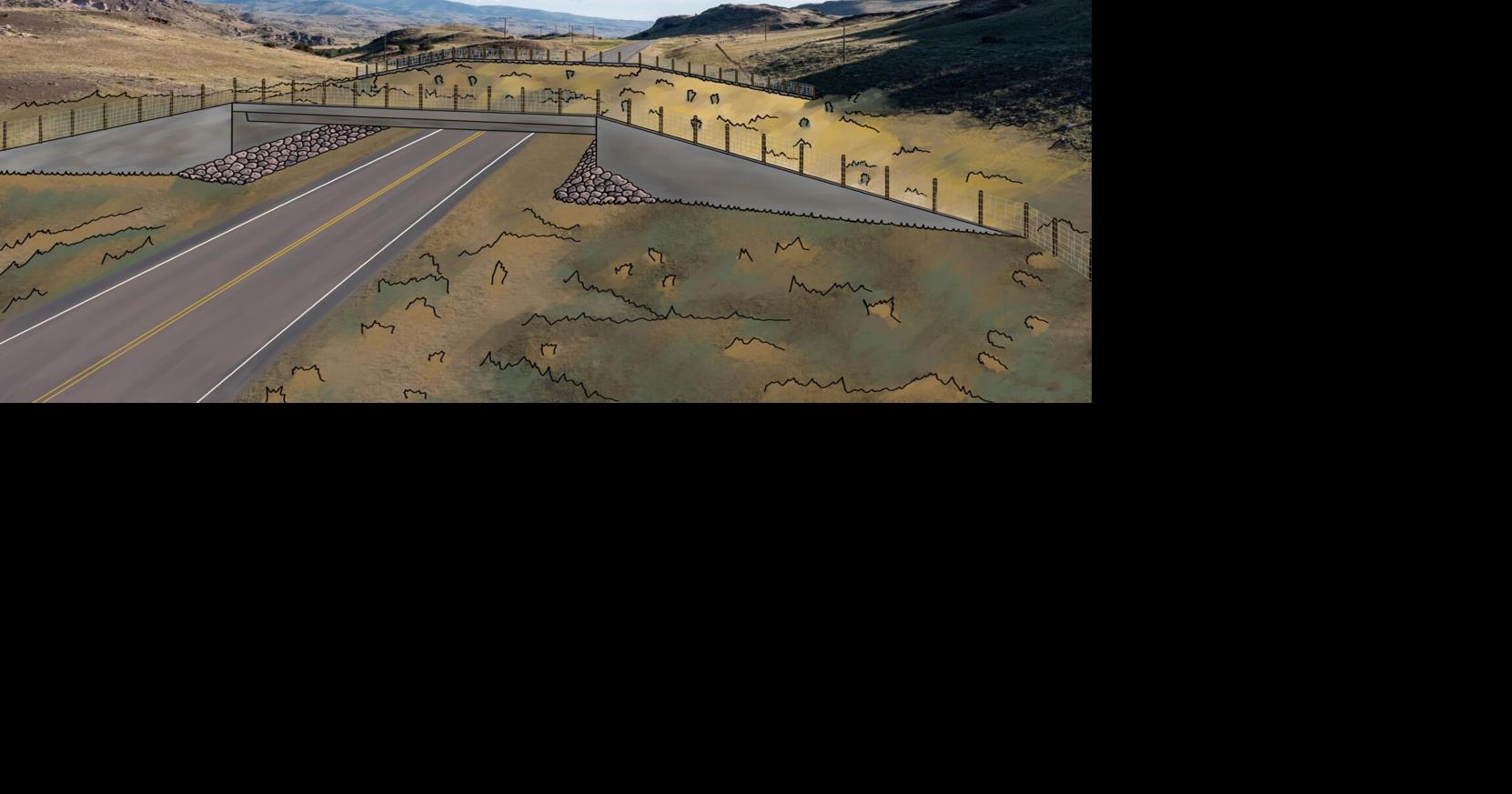 MDT approves engineering study for U.S. Route 89 wildlife crossing ...