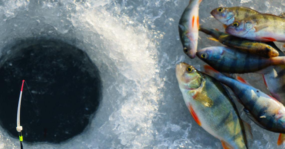Montana Fish Wildlife and Parks promotes ice safety | Tourism ...