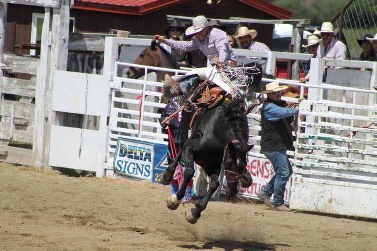 Ropes and rough riding: Gardiner and Wilsall rodeos take place on ...