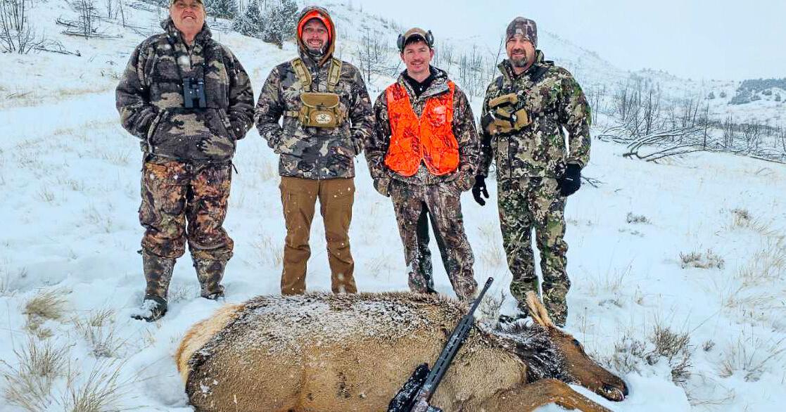 Veterans pursue cow elk on former Ted Turner ranch | News ...