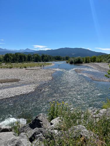 'Life in the Land: Upper Yellowstone River' film screening at the Shane | Local ...