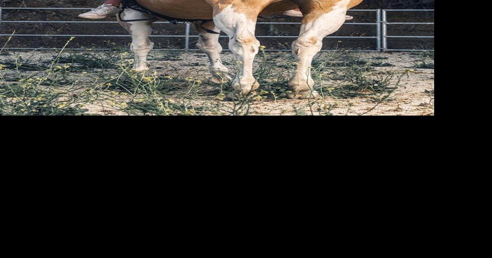 California comedian performs in Livingston | Local ...