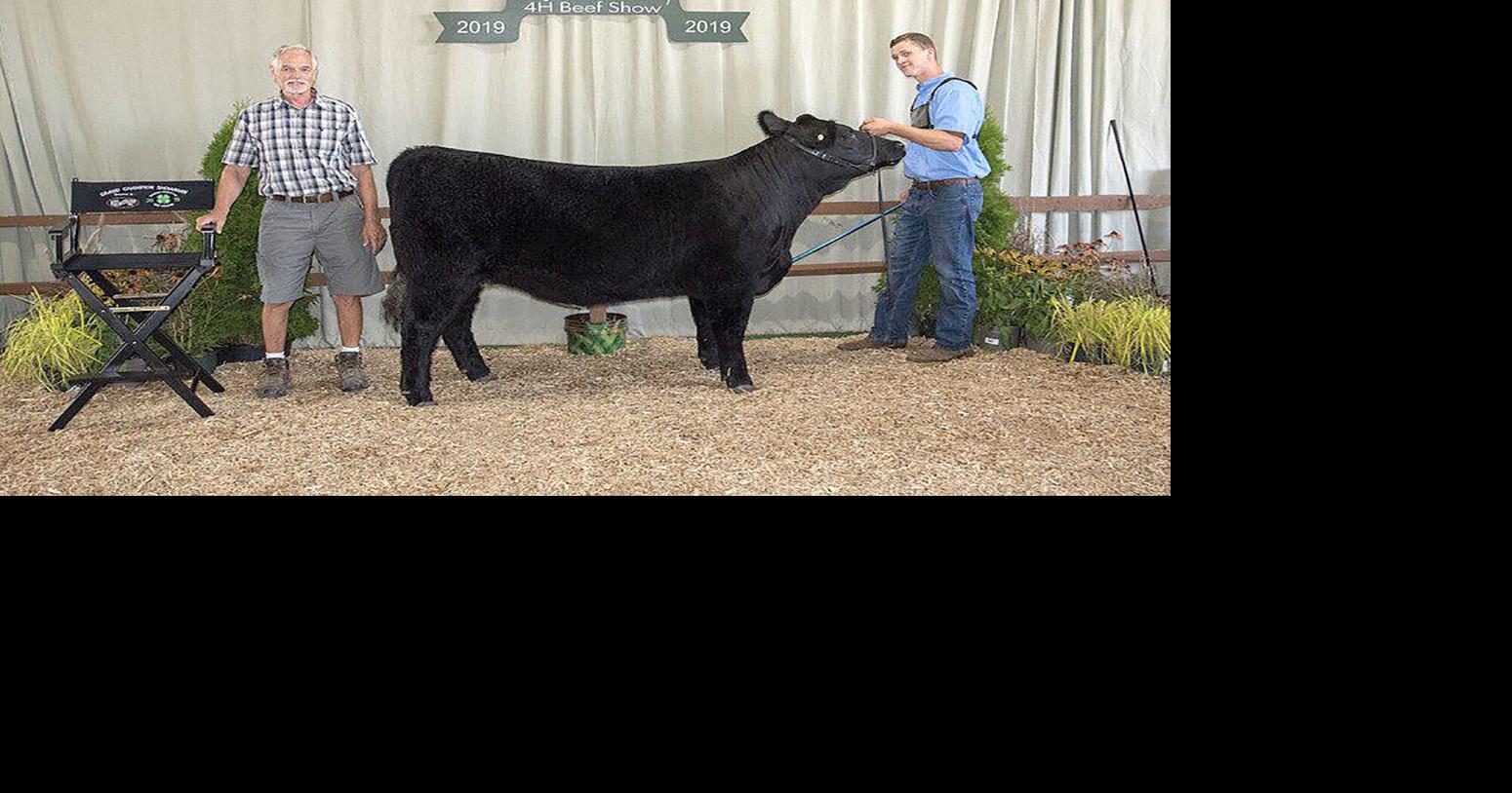 OUTSTANDING IN HER FIELD: A bit about raising beef cows | Lifestyles ...